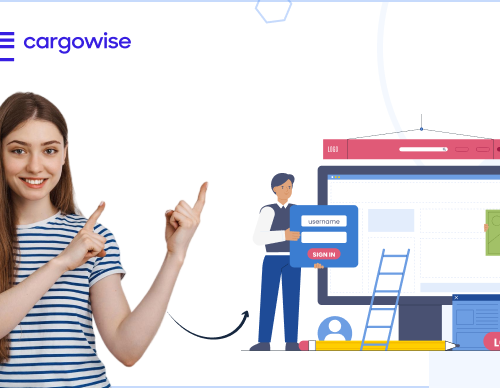 What Is CargoWise API and how to integrate it into your systems?