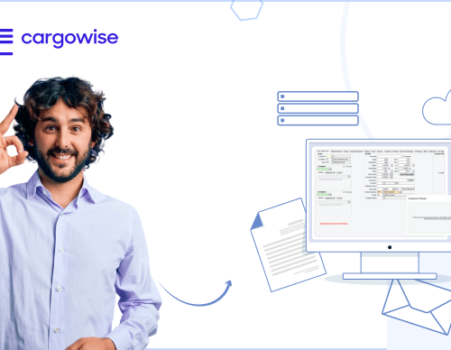 What Is CargoWise API and how to integrate it into your systems?